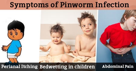 Pinworm Rash On Bottom