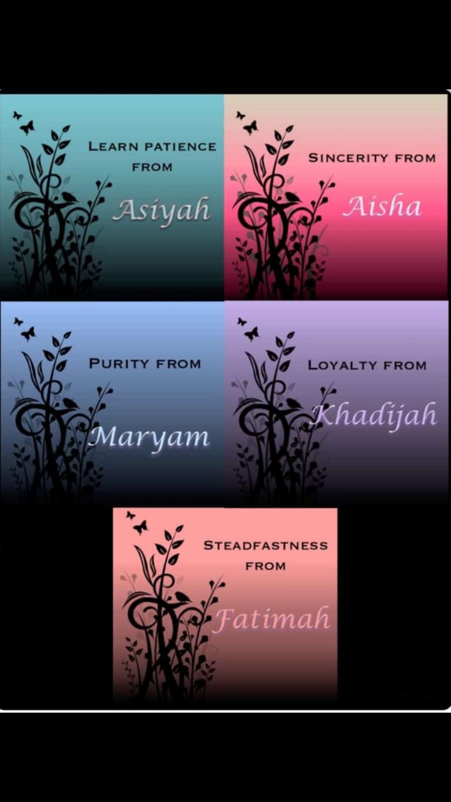 Dr. Sana Tabassum, Pathologist in Hyderabad, Telangana | Contact Details for Consultation